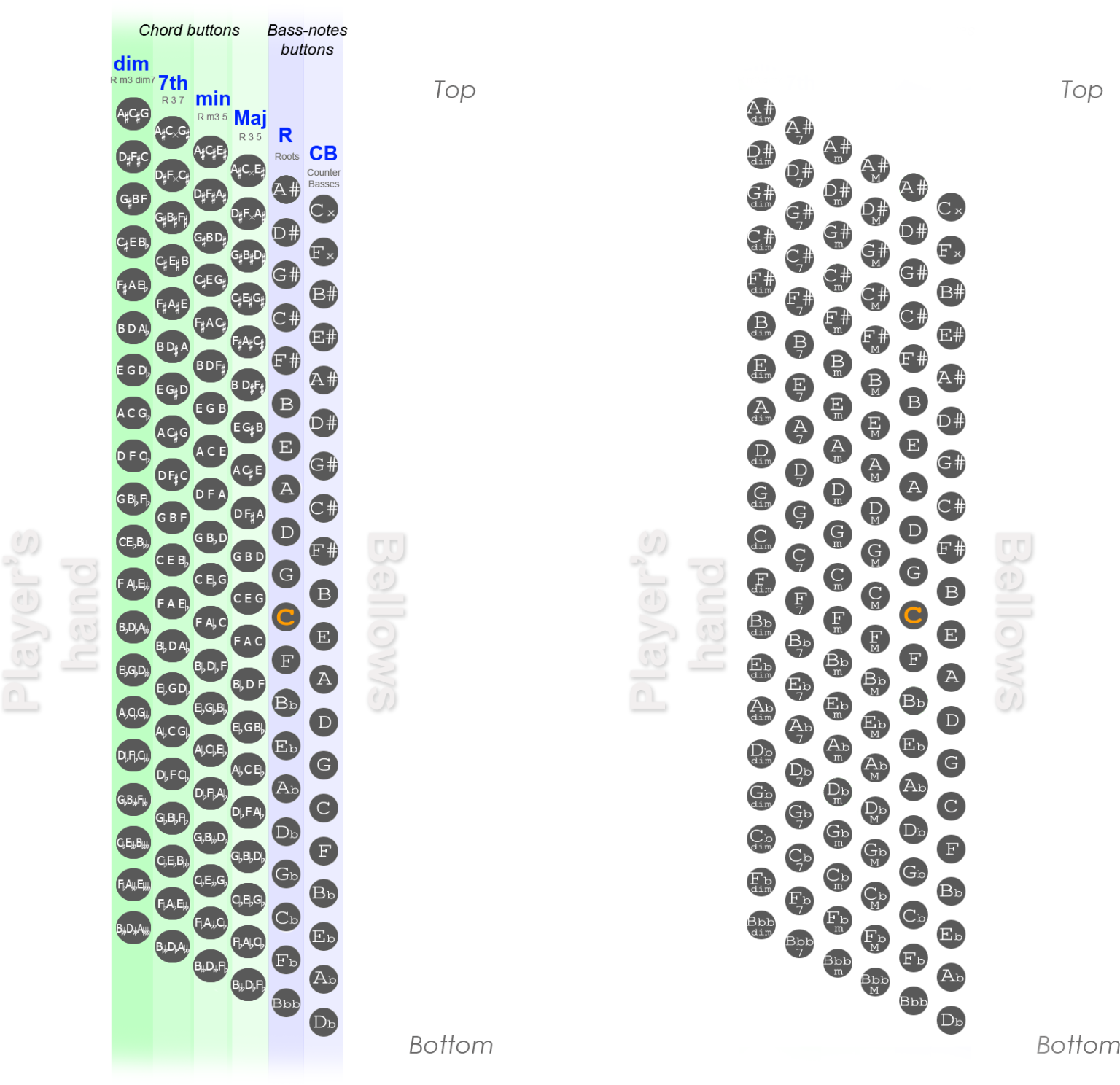 Learning Harmony on the Accordion - AccordionChords.com