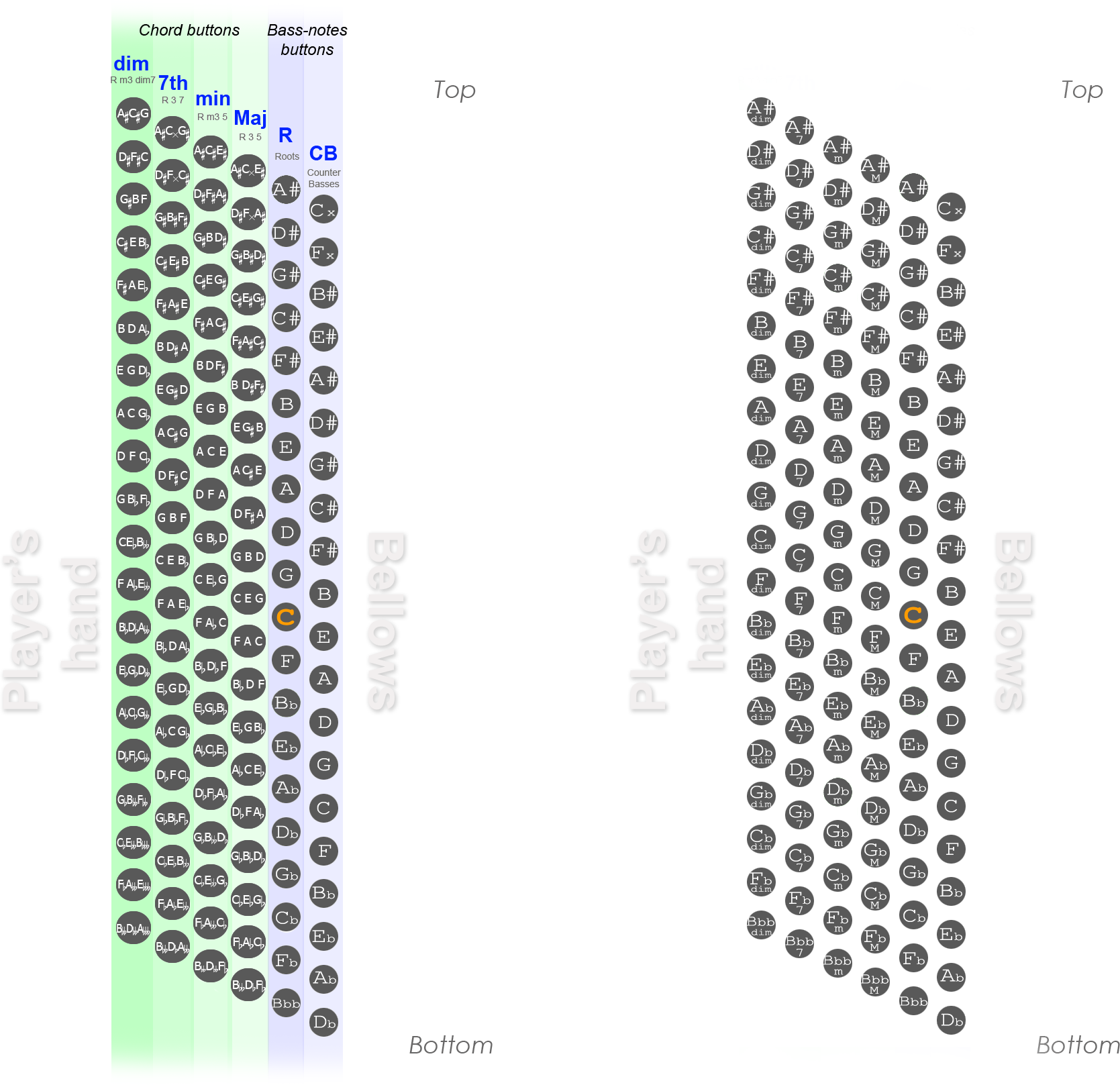 Learning Harmony on the Accordion - AccordionChords.com