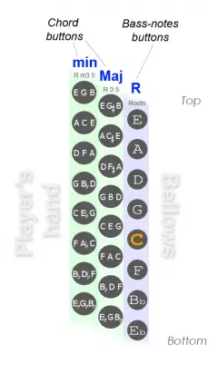 Stradella Bass System - All Layouts from 8 to 120 bass Accordion.