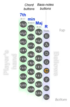 Stradella Bass System - All Layouts from 8 to 120 bass Accordion.