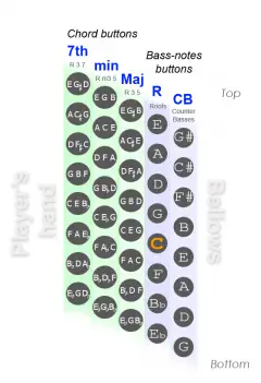 Stradella Bass System - All Layouts from 8 to 120 bass Accordion.