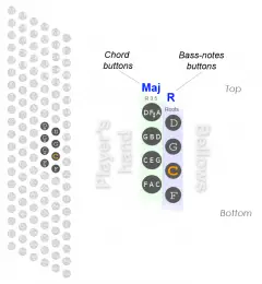 8 Bass Accordion Chart - Diagram, Bass Notes, List of Chords