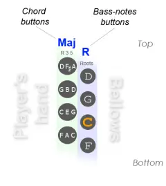 Stradella Bass System - All Layouts from 8 to 120 bass Accordion.