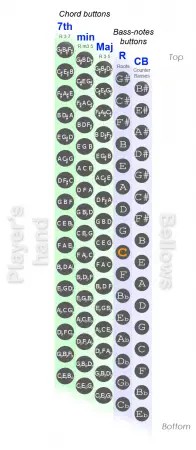 Stradella Bass System - All Layouts from 8 to 120 bass Accordion.