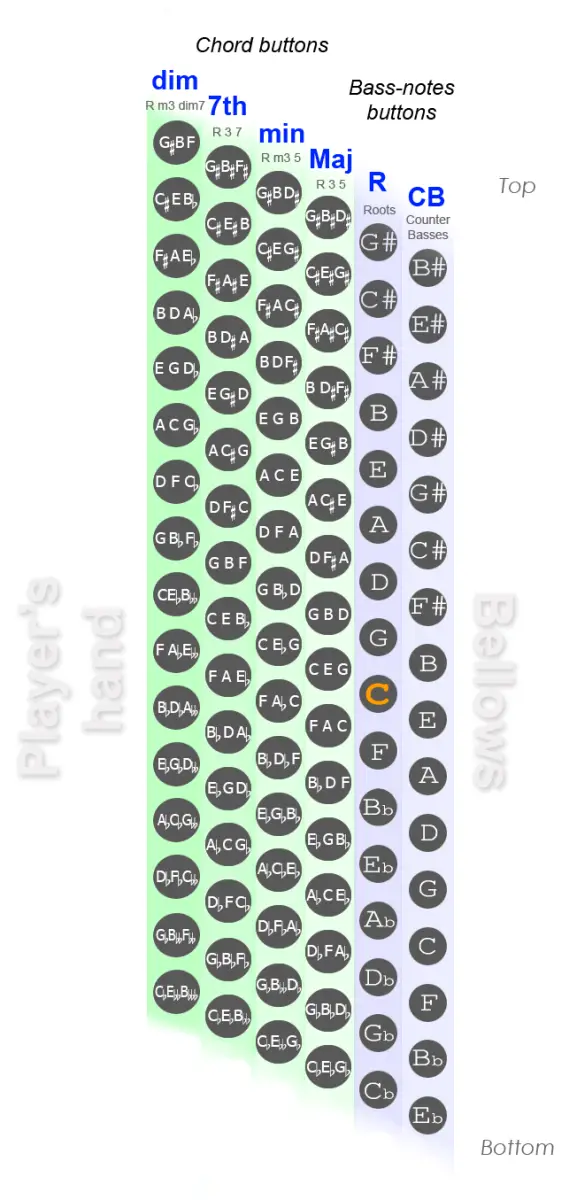 Stradella Bass System - All Layouts from 8 to 120 bass Accordion.