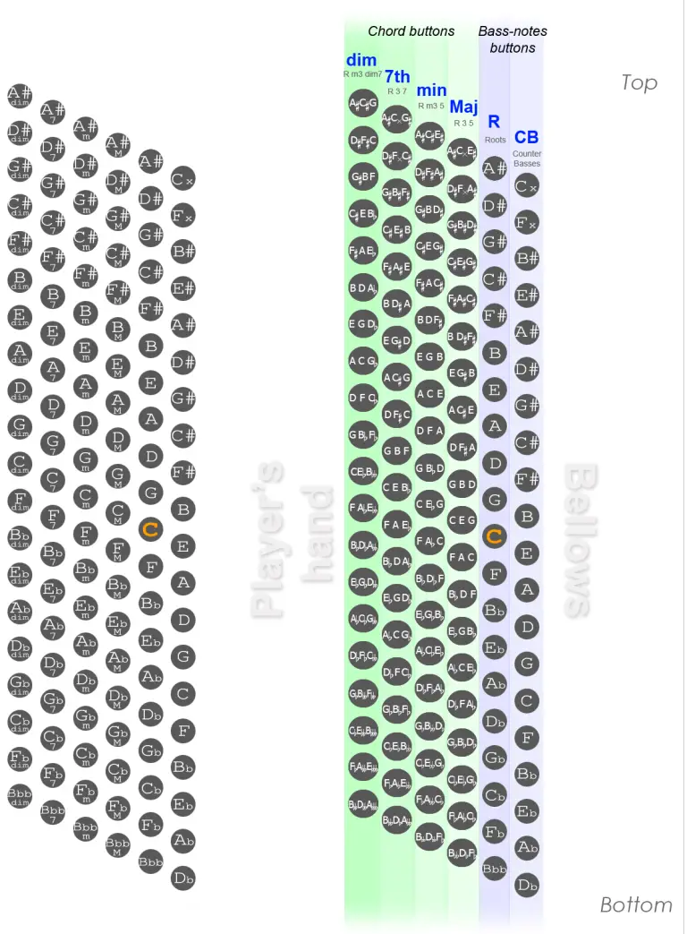 Stradella Bass System - All Layouts from 8 to 120 bass Accordion.