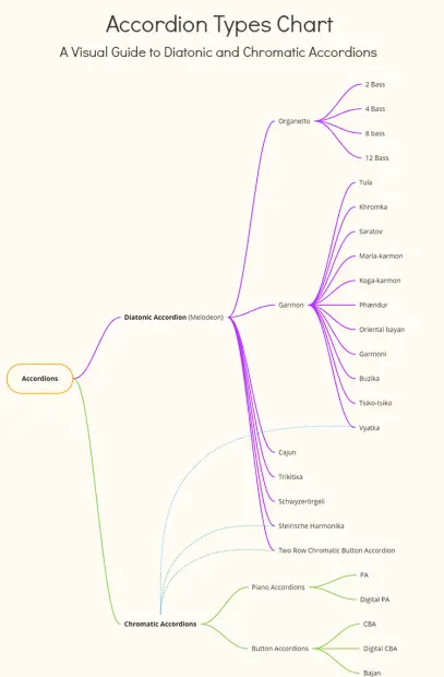 Types of Accordions and Their Distinctive Features