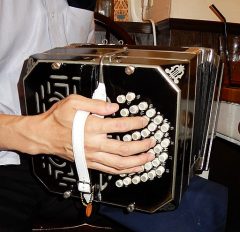 Types of Accordions and Their Distinctive Features