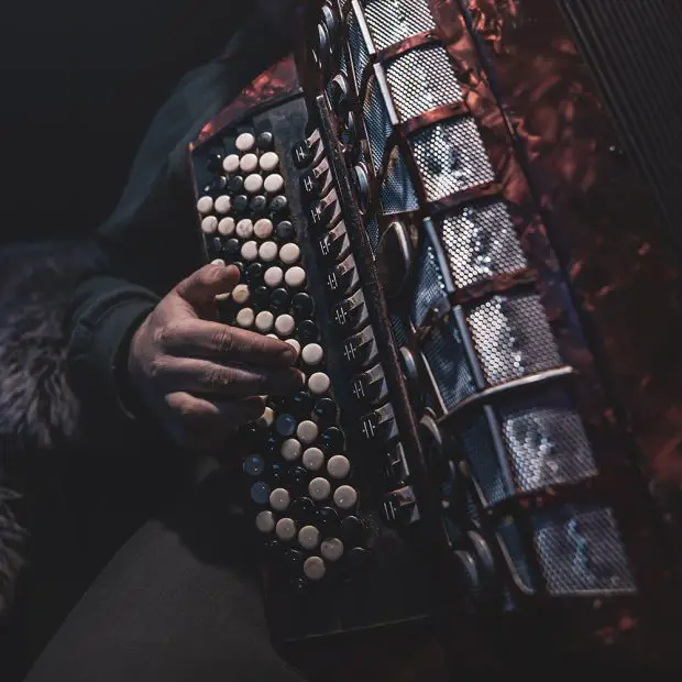 Types of Accordions and Their Distinctive Features